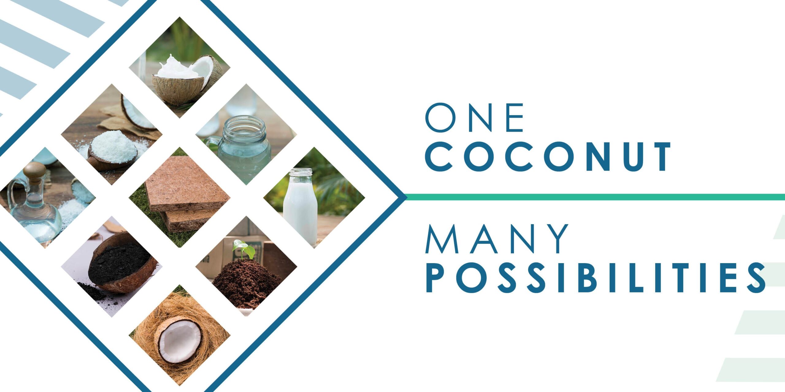 How Apex Coco is Redefining Quality, Sustainability, and Wellness with ...